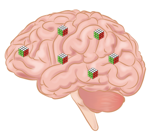 The Psychology of Solving: How the Rubik’s Cube Can Boost Your ...